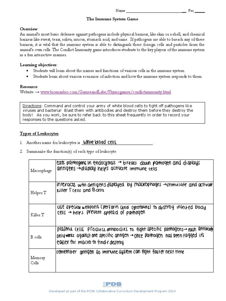 Conflict Immunity Game | PDF | Immune System | Lymphocyte