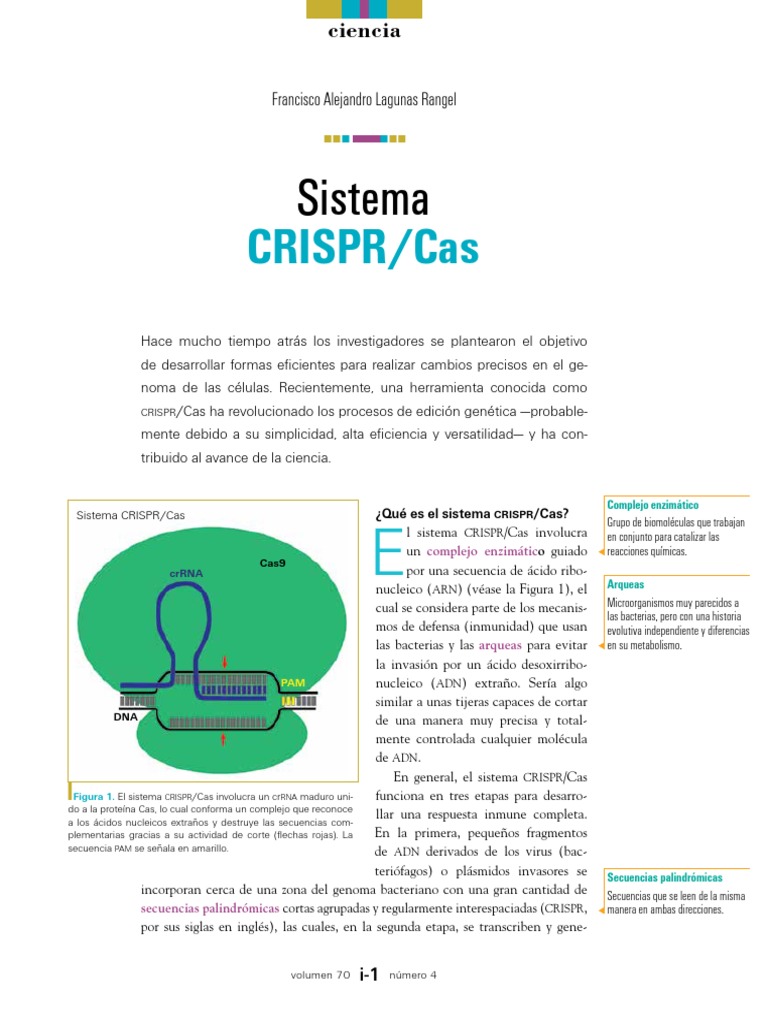Crisp Cas 9 | PDF | Adn | Gene