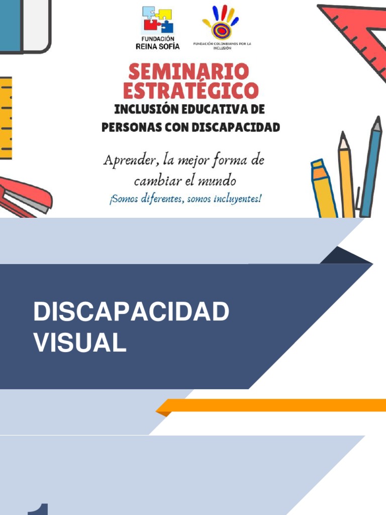 PCD Visual | PDF | Percepción visual | Discapacidad visual
