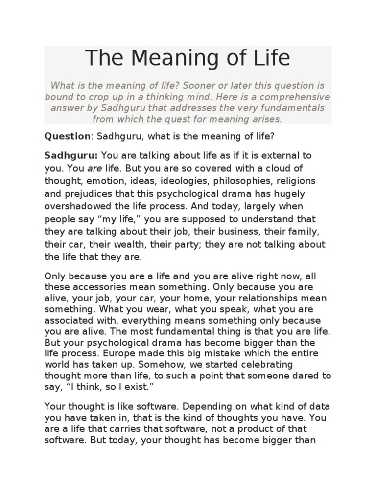 The Meaning of Life | PDF | Meaning Of Life | Thought