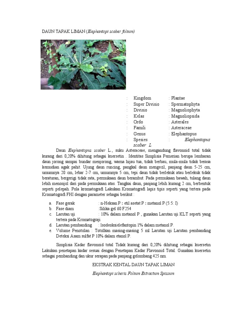 Daun Tapak Liman | PDF