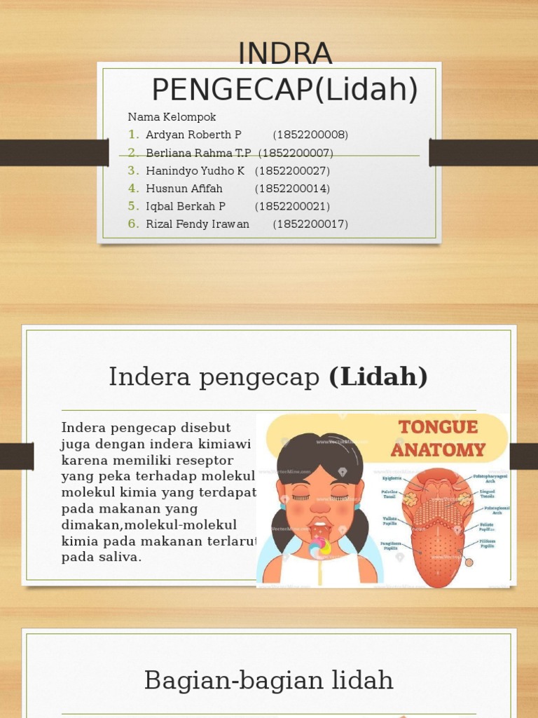 INDRA PENGECAP (Lidah) | PDF