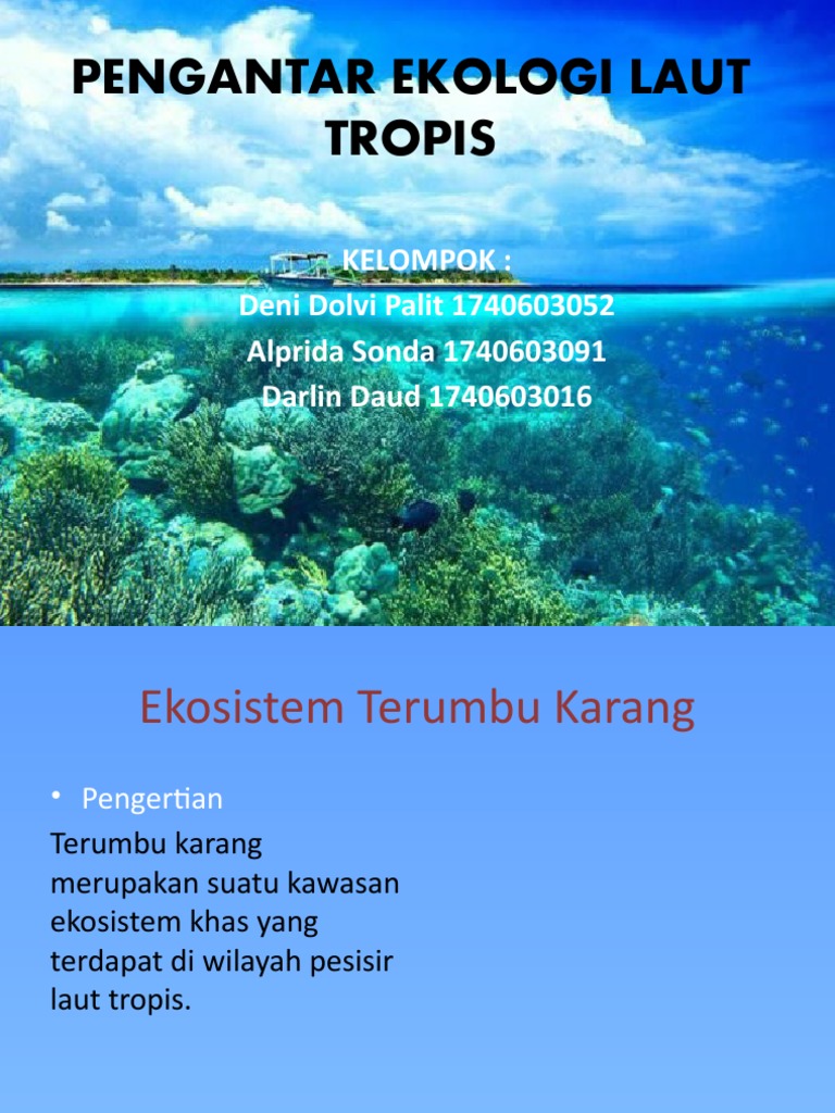 PENGANTAR EKOLOGI LAUT TROPIS Kel 4 | PDF