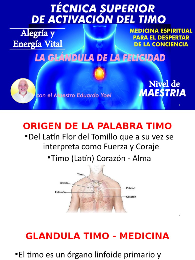 Glándula Timo: Funciones y Activación | PDF | Timo | Sistema inmune