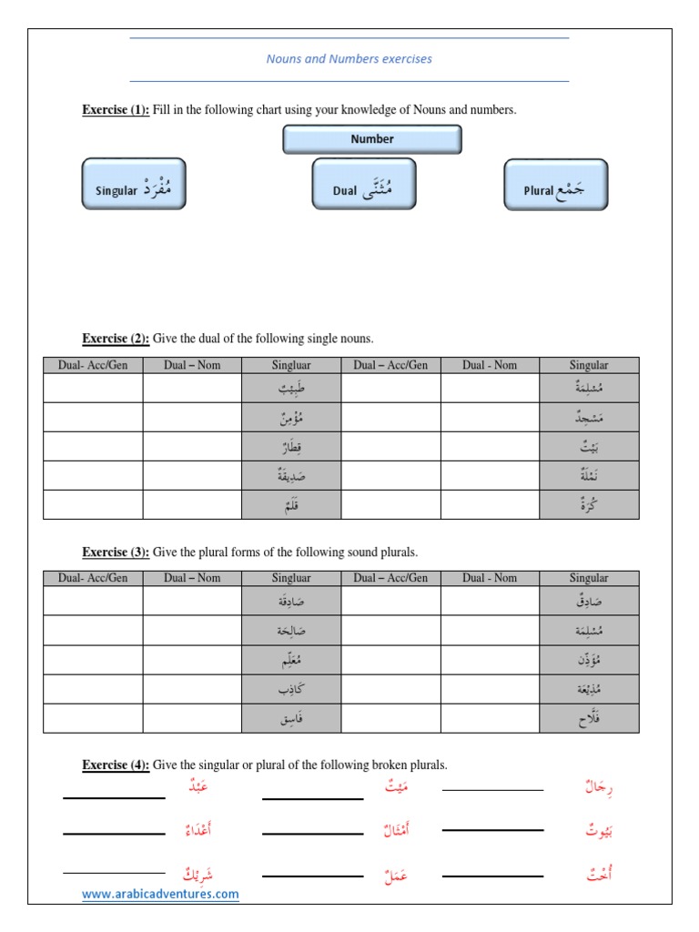 Nouns and Numbers Worksheet PDF | PDF | Grammatical Number | Onomastics