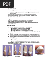 Canine Tooth Anatomy Overview | PDF | Dental Anatomy | Tooth