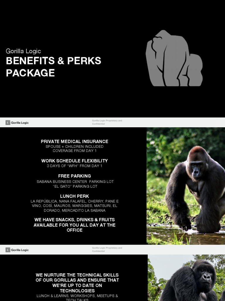 GL Benefits & Perks Package - External Guide | PDF | Employee Benefits ...