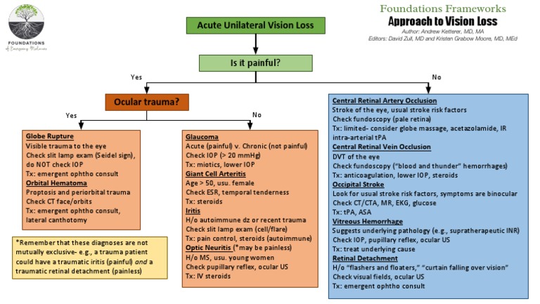 Approach To Vision Loss Chart | PDF | Stroke | Human Eye