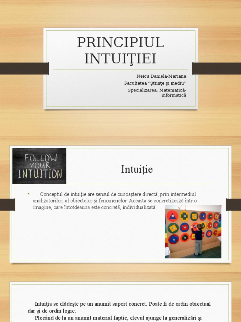 Principiul Intuiţiei | PDF