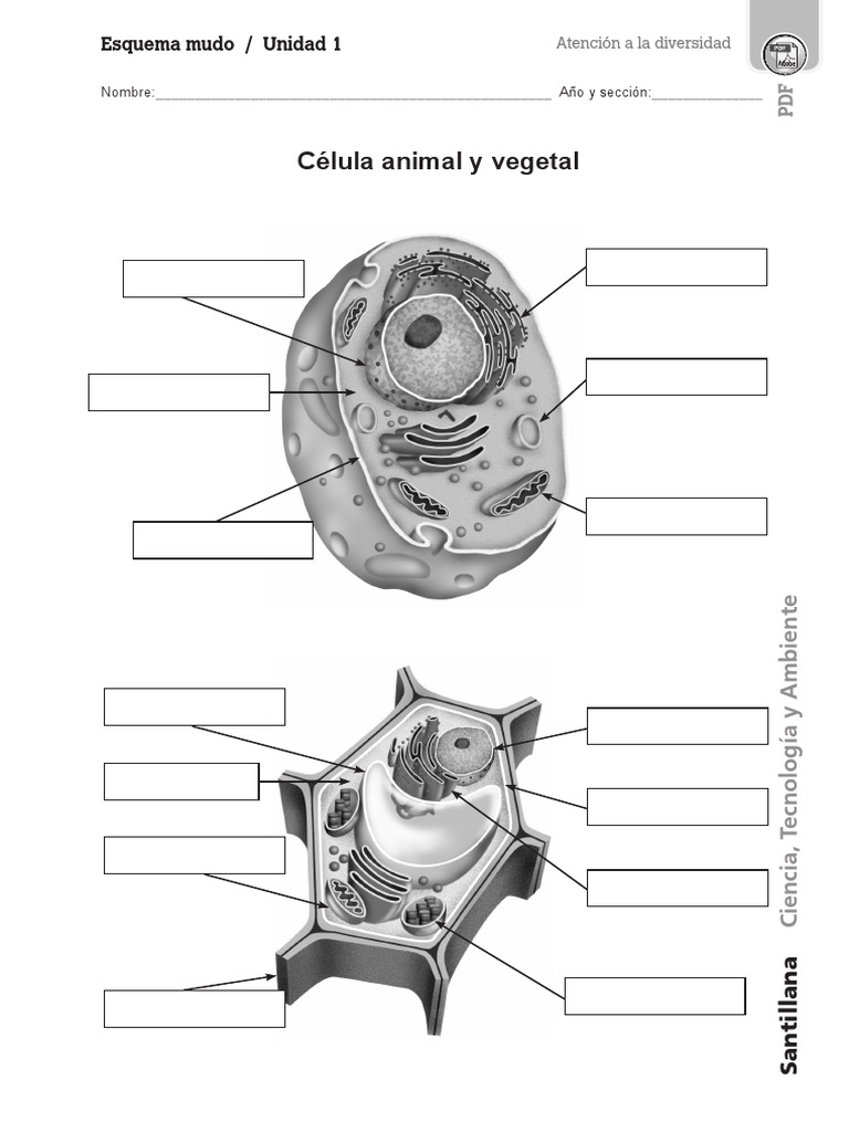 A024 U01CTA1em Celula PDF | PDF | Informática | Ciencia y matemáticas