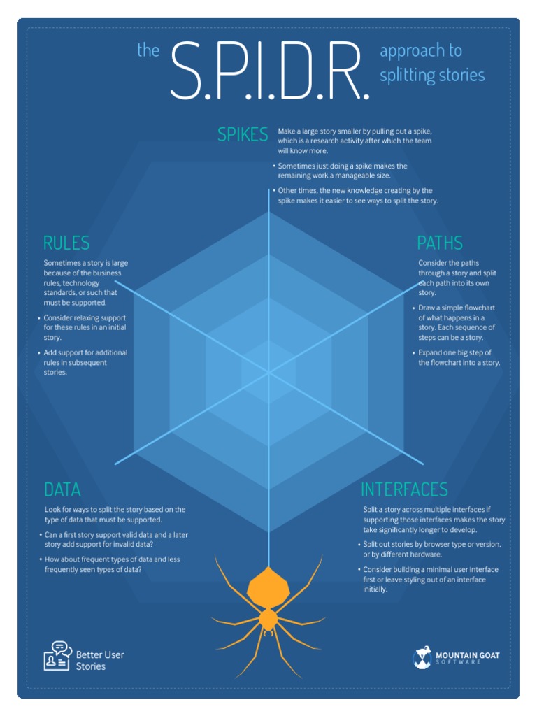 SPIDR Poster | PDF | Information Science | Digital Technology