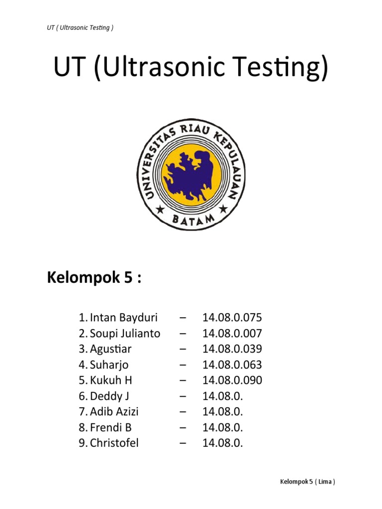 UT Ultrasonic Testing | PDF | Dewasa Muda