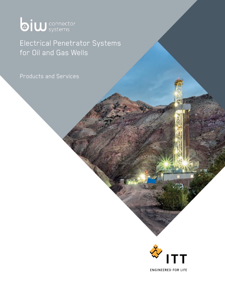 BIW Products Services Brochure 042019 PDF | PDF | Electrical Connector ...