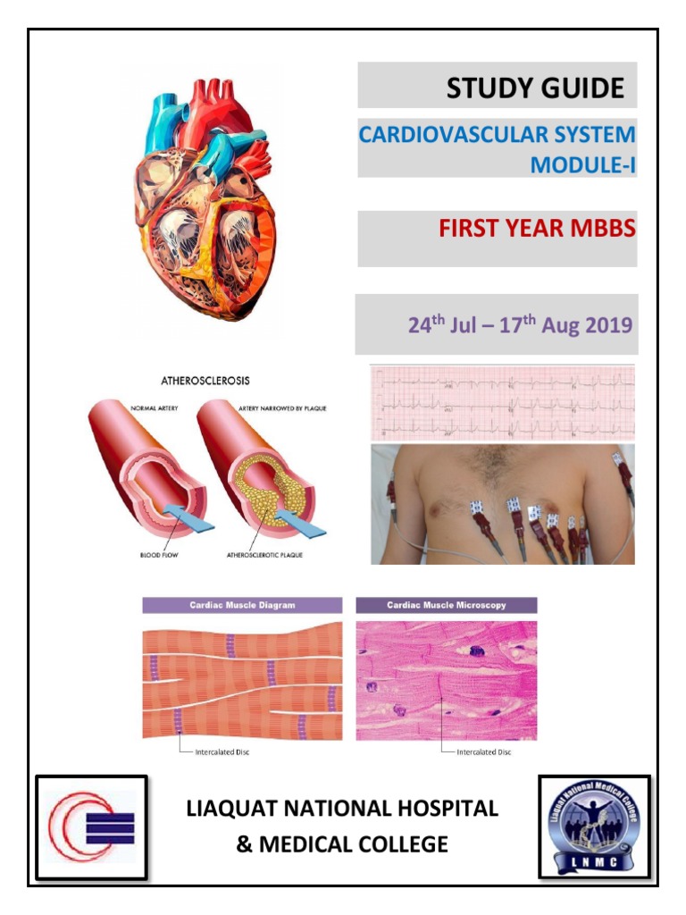 1st Year MBBS: CVS Module Study Guide | PDF | Aorta | Congenital Heart Defect