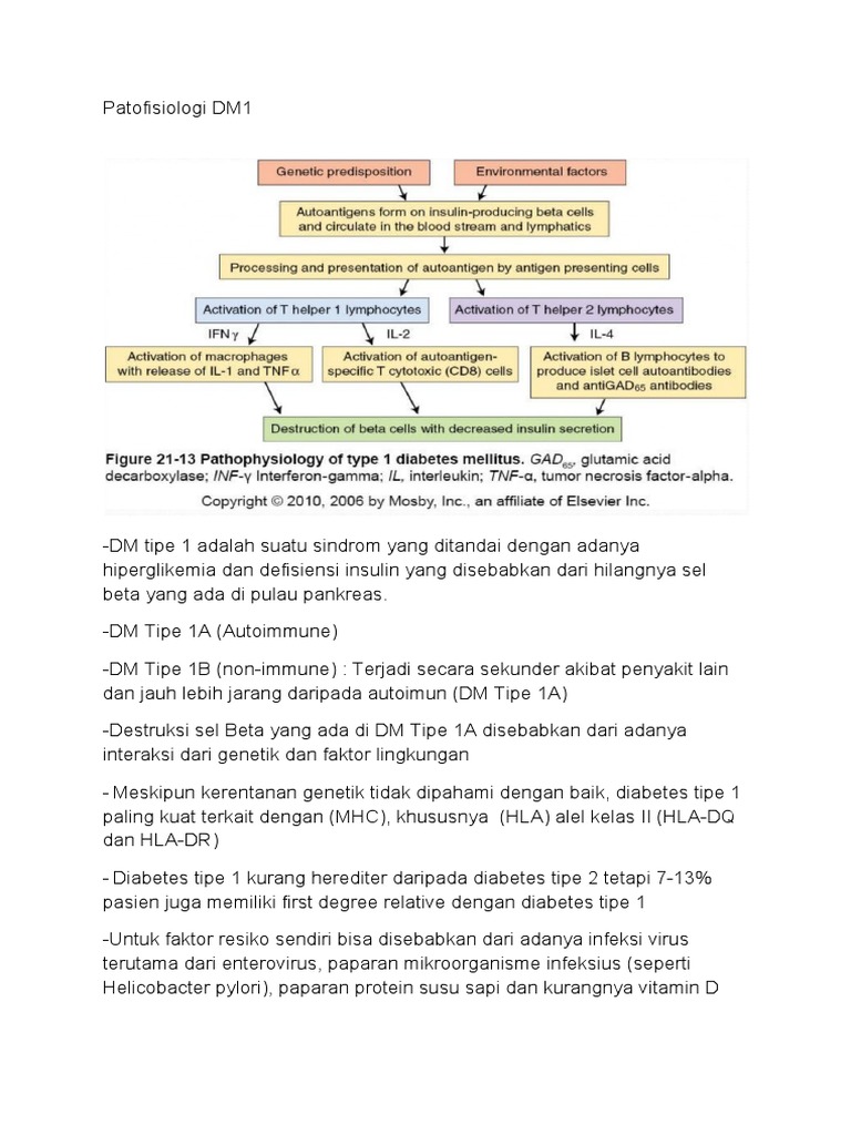 Patofisiologi DM | PDF