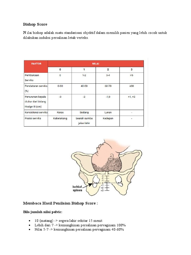 Bishop Score | PDF | Pengembangan Diri | Sains & Matematika