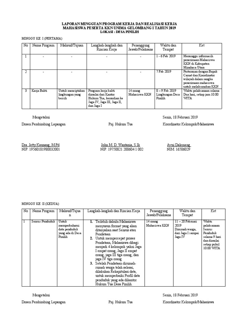 Laporan Mingguan Program Kerja Dan Realisasi Kerja | PDF