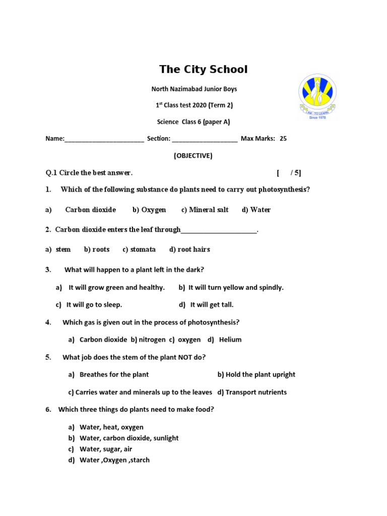 1st Class Test 18 | Download Free PDF | Plants | Photosynthesis
