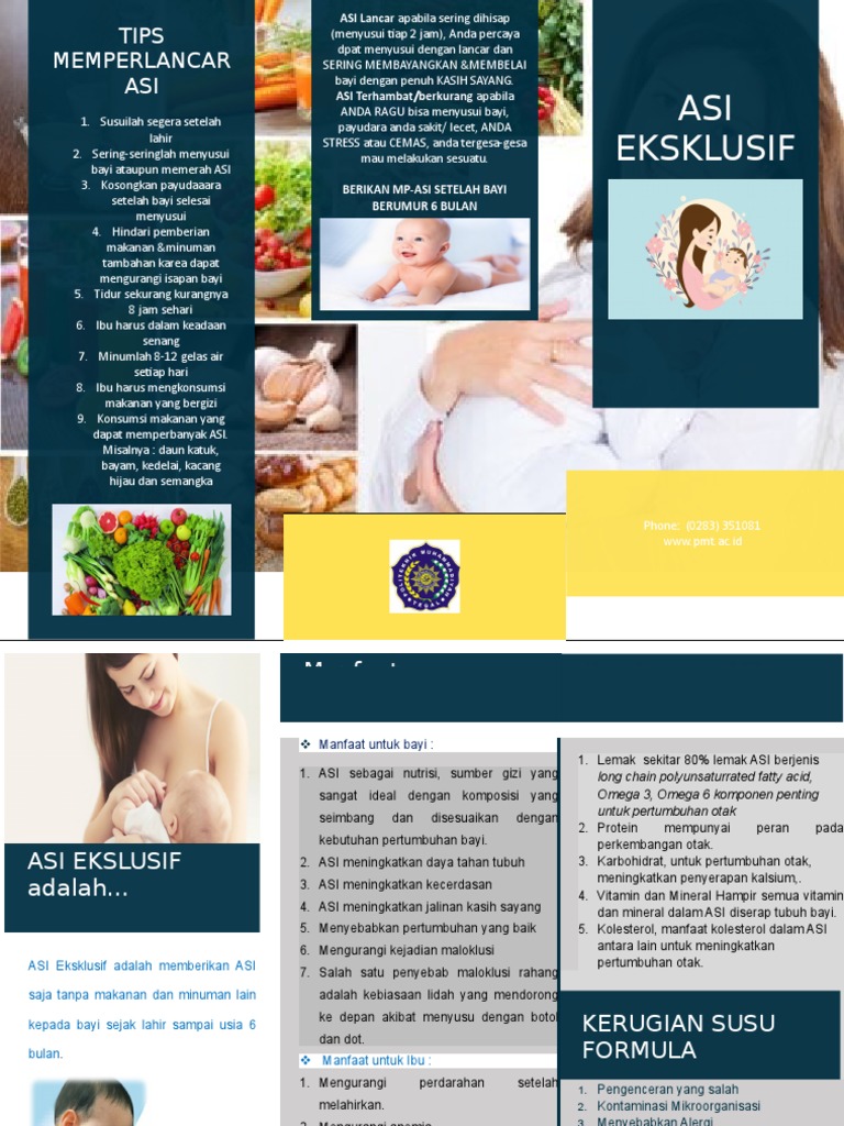 Leaflet Asi | PDF