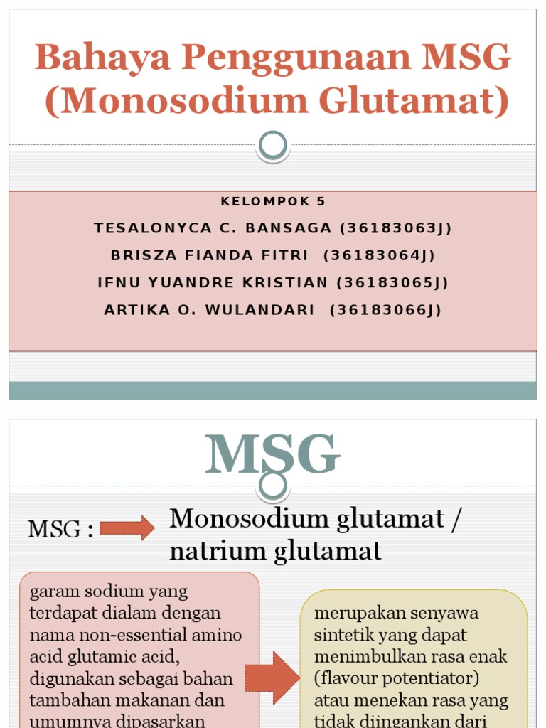 Bahaya Penggunaan MSG | PDF