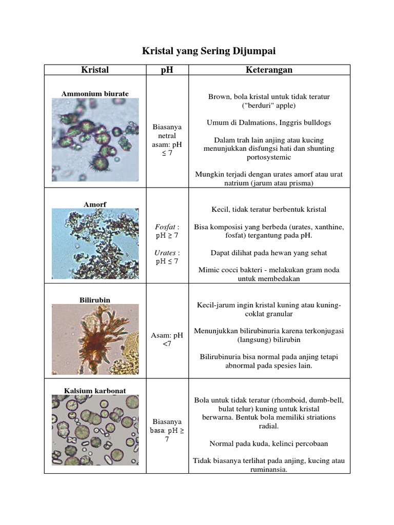 Bentuk Kristal Pada Urine | PDF