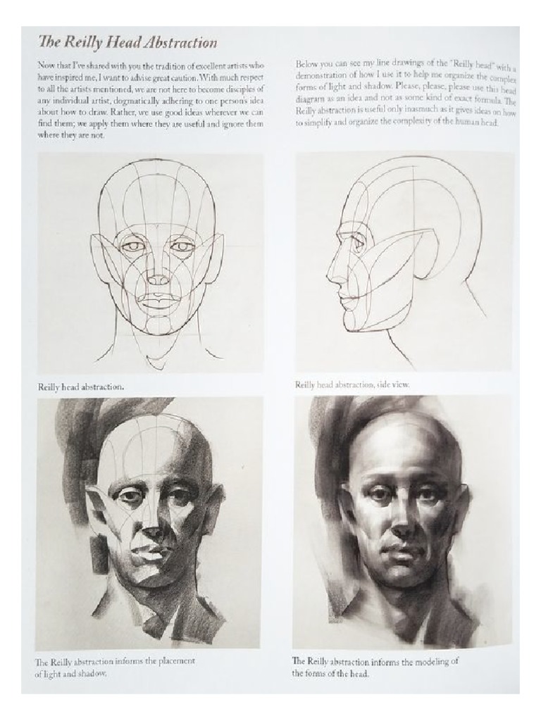 Reilly Head Reference | PDF