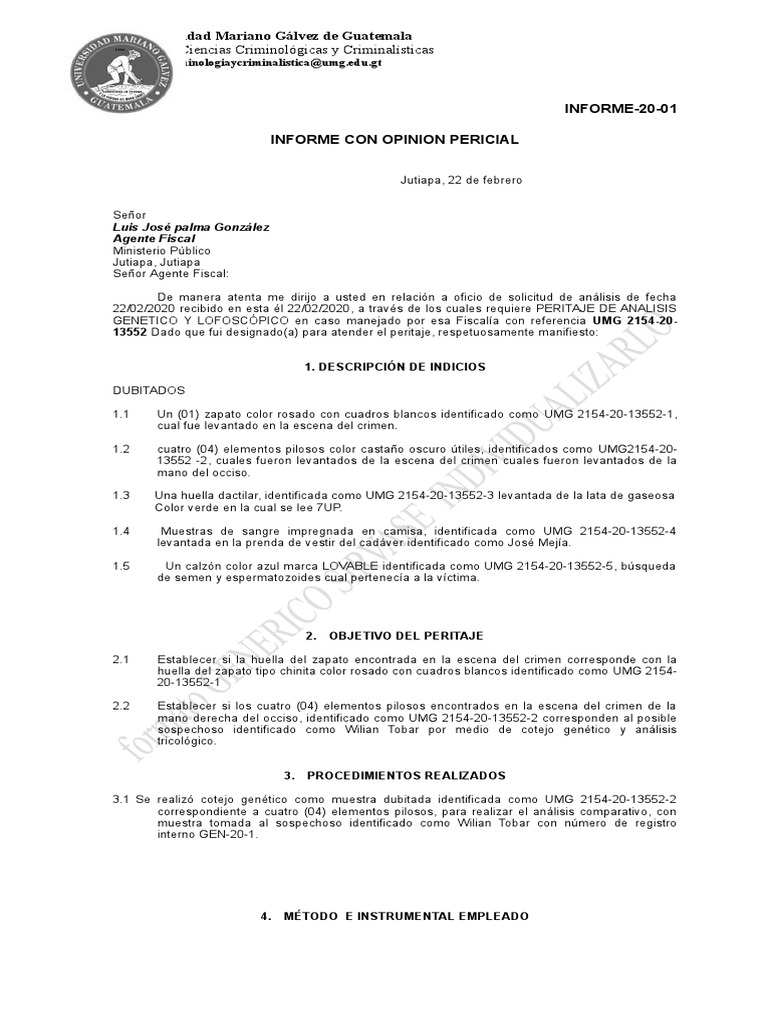 Formato Informe Pericial | PDF | Diagnostico medico | Adn