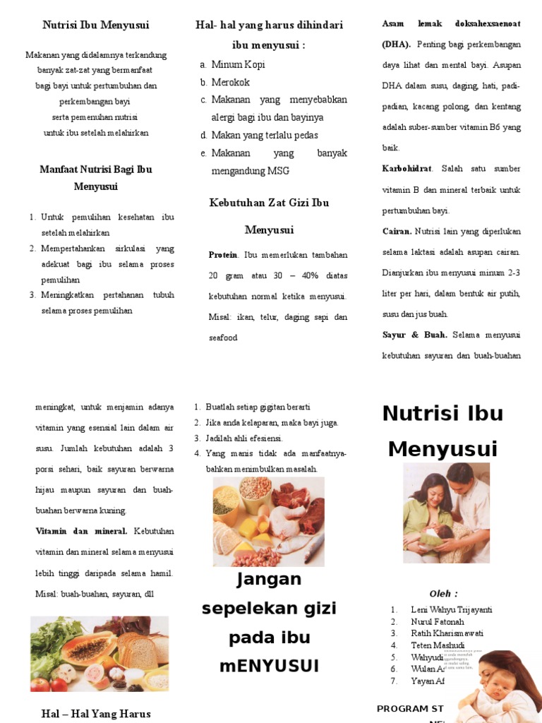 Leaflet Gizi Ibu Menyusui | PDF