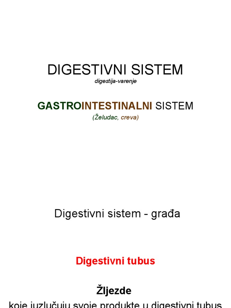 10 Digestivni Sistem | PDF
