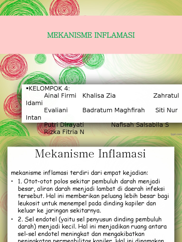MEKANISME DAN TAHAPAN INFLAMASI | PDF