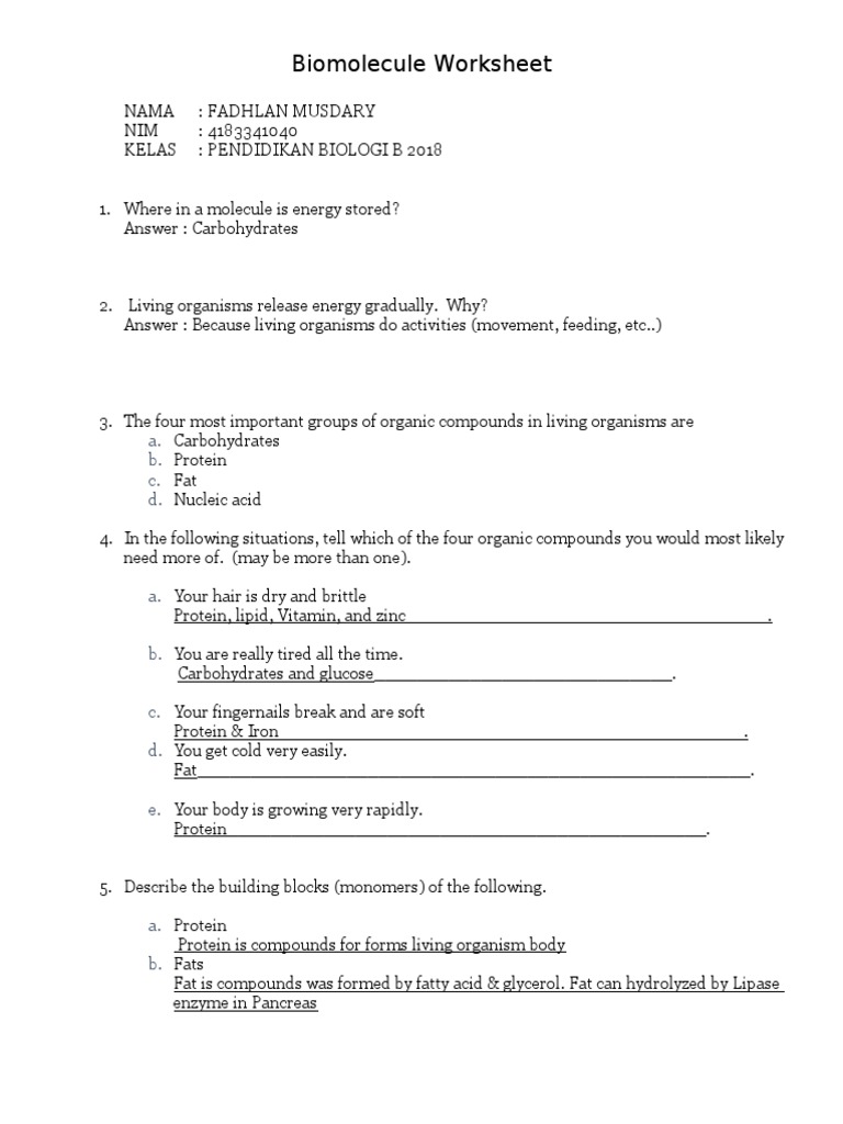 Biomolecule Worksheet 1 - Fadhlan Musary | PDF | Biomolecules | Enzyme
