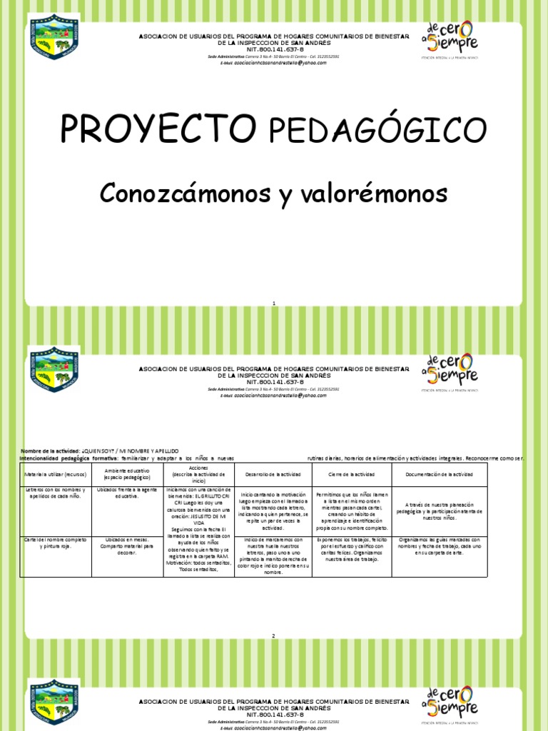 Conozcamonos y Valoremonos | PDF | Planificación | Science