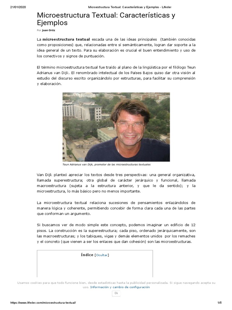 Microestructura Textual - Características y Ejemplos | PDF | Argumento ...