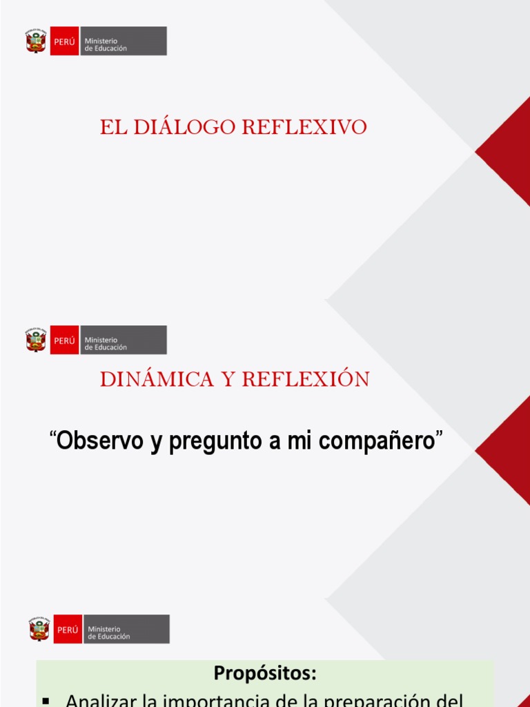 Dialogo Reflexivo PDF | PDF | Maestros | Ciencia cognitiva
