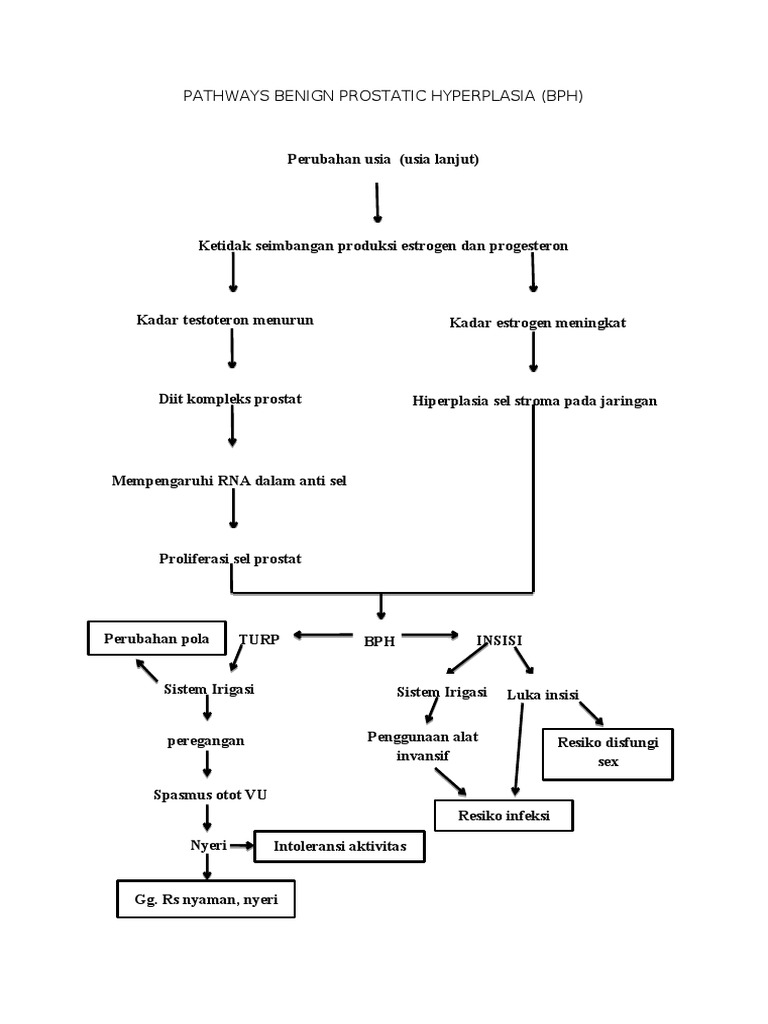 Pathways (BPH) | PDF
