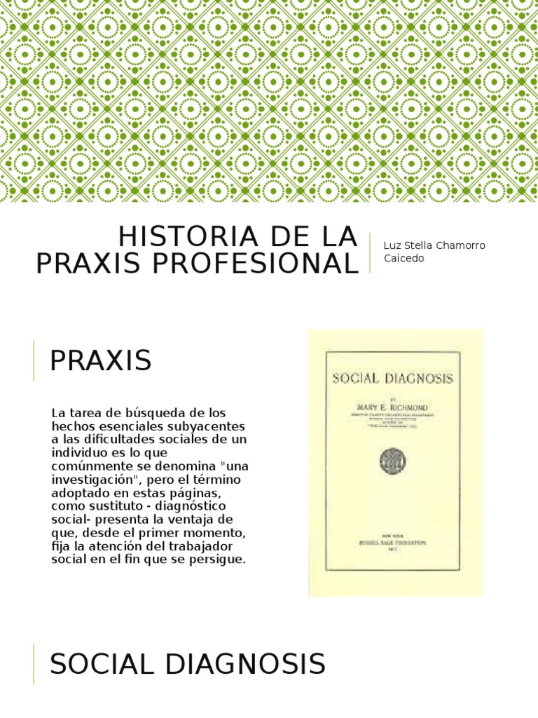 Historia De La Praxis Profesional Descargar Gratis Pdf Trabajo