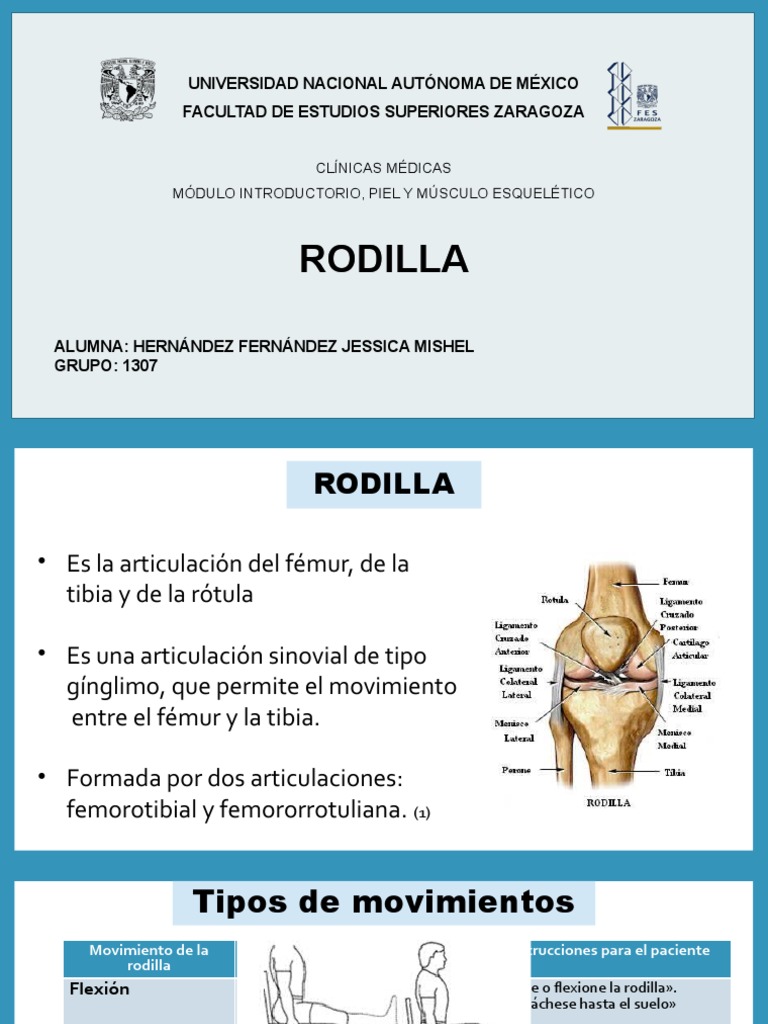 Módulo introductorio sobre la rodilla: estructura, movimientos ...
