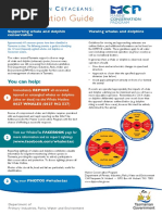 Example Matrix of Permitted Operations | PDF | Risk Assessment | Nature