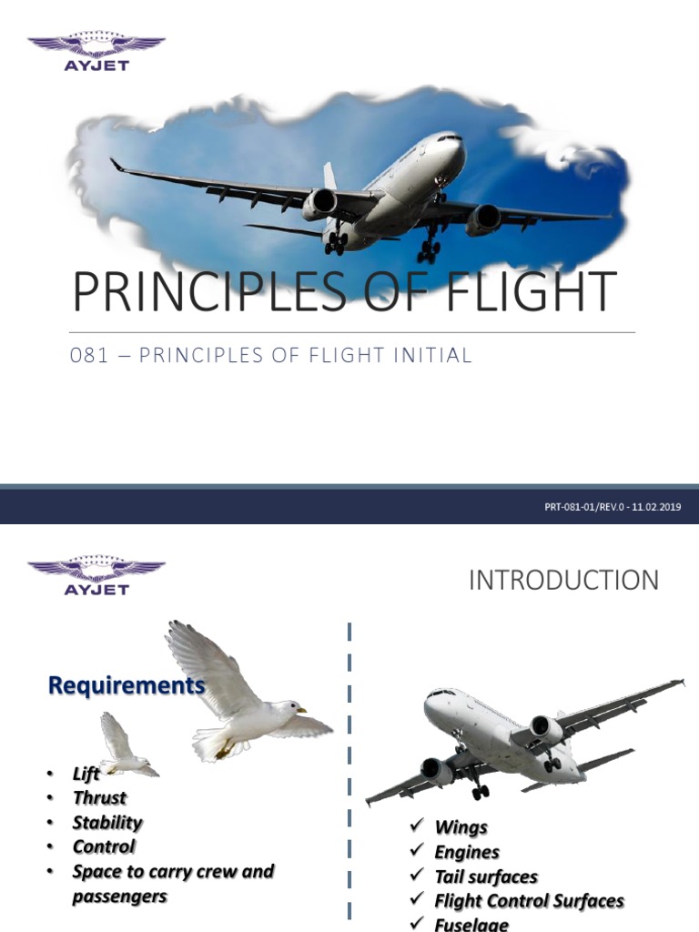 Principles of Flight | Download Free PDF | Flight Control Surfaces ...