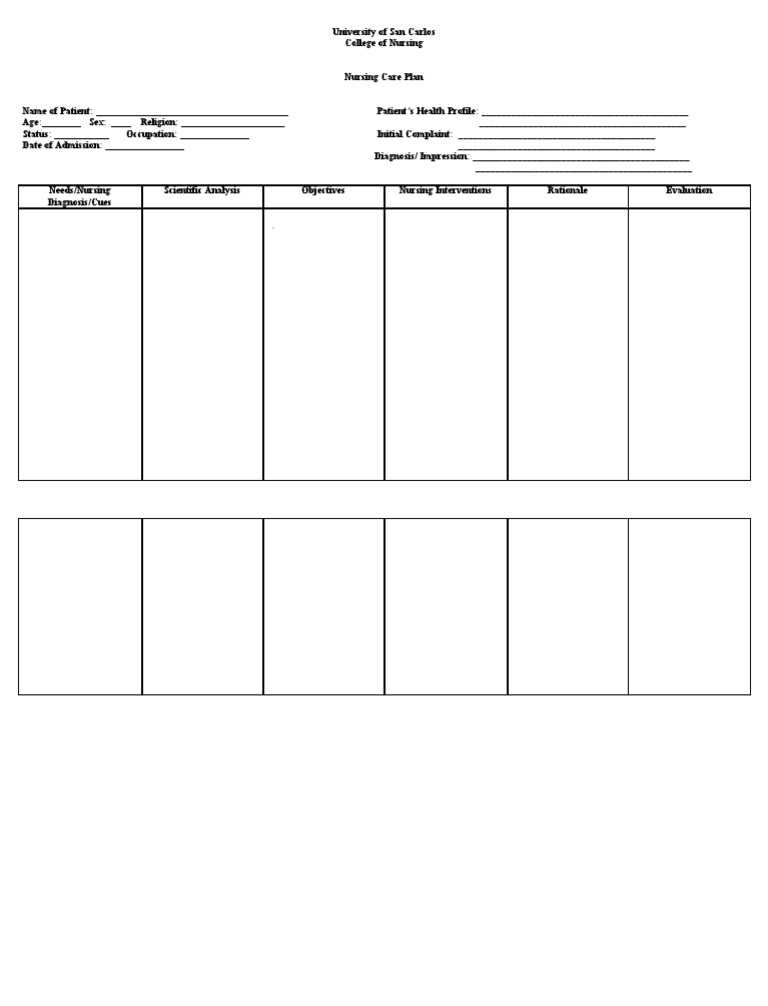 Nursing Care Plan Format | PDF