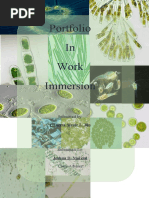 Objectives of The Work Immersion | PDF