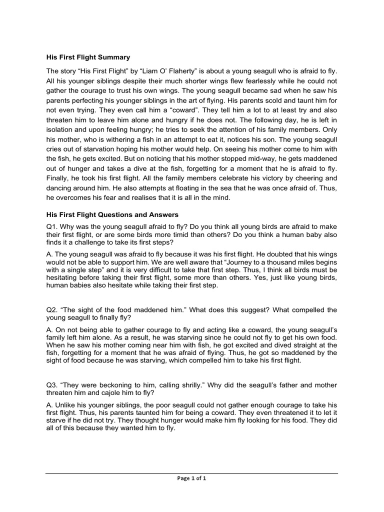 Young Seagull's First Flight Summary | PDF | Home & Garden | Science ...