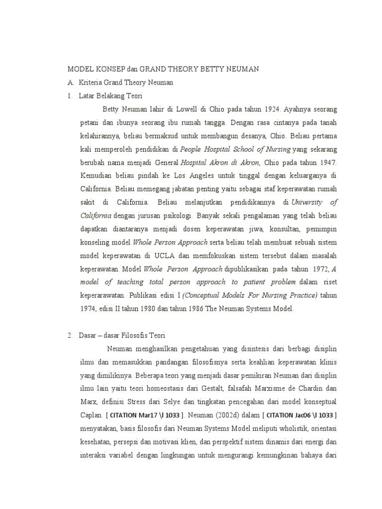 Grand Theory Neuman | PDF