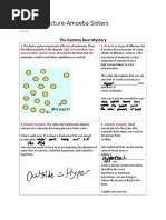 Video Recap of Osmosis by Amoeba Sisters Answer Set | PDF | Osmosis ...