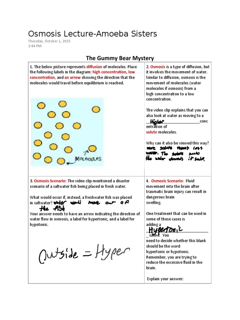 Osmosis Lecture-Amoeba Sisters | PDF | Osmosis | Chemistry