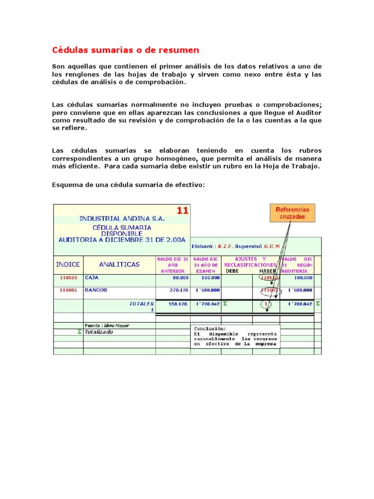 Cédulas Sumarias o de Resumen | PDF