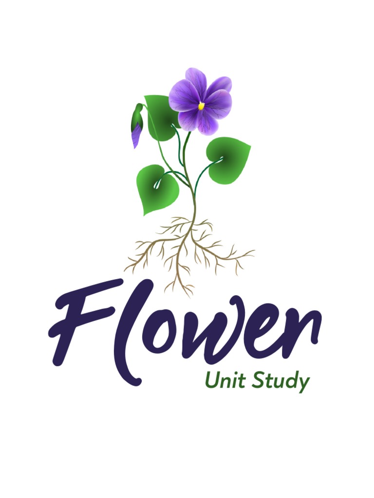 Flower Unit Study | PDF | Flowers | Plants