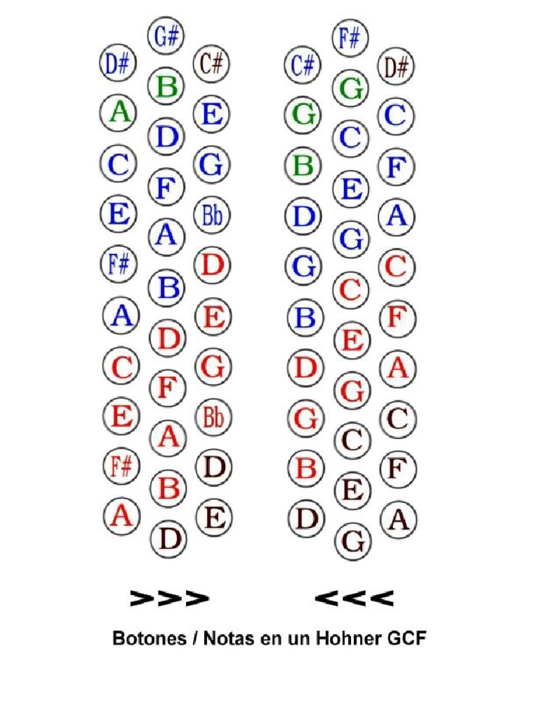 Notas Del Acordeon de Botones PDF | PDF
