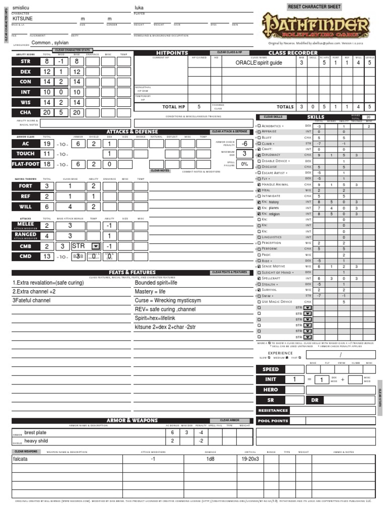 Pathfinder Character Sheet Overview | PDF | Gary Gygax Games | Fantasy