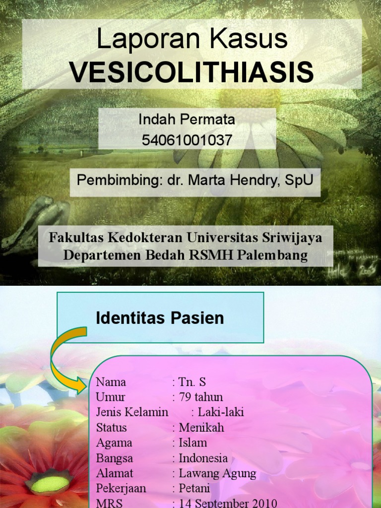 Vesicolithiasis | PDF